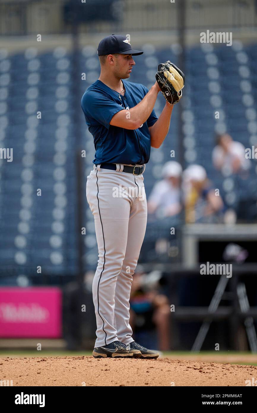 Lakeland Flying Tigers pitcher Max Alba (20) during an MiLB Florida ...