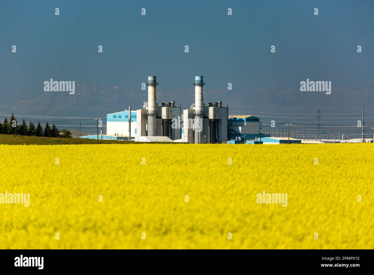 Elektrische reichweite -Fotos und -Bildmaterial in hoher Auflösung – Alamy