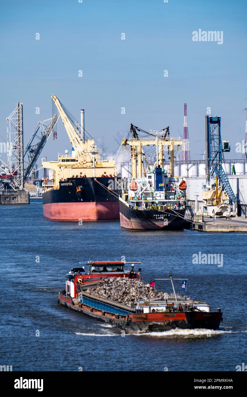 Gilt als flandern -Fotos und -Bildmaterial in hoher Auflösung – Alamy