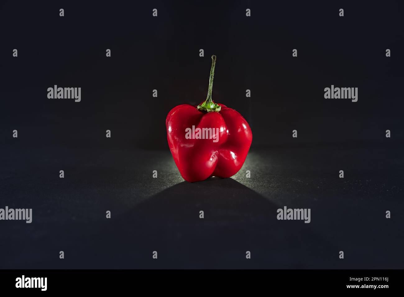 Bild eines habanero Chili Pfeffers in einem Studiofoto. Der habanero ...