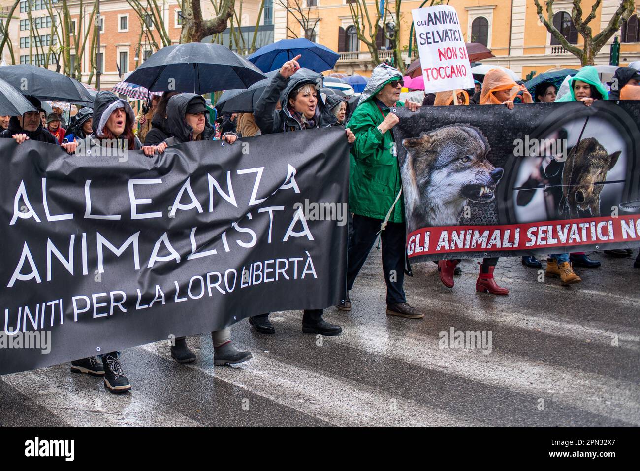 Protest gegen unblutige methoden zur wildtierkontrolle -Fotos und ...