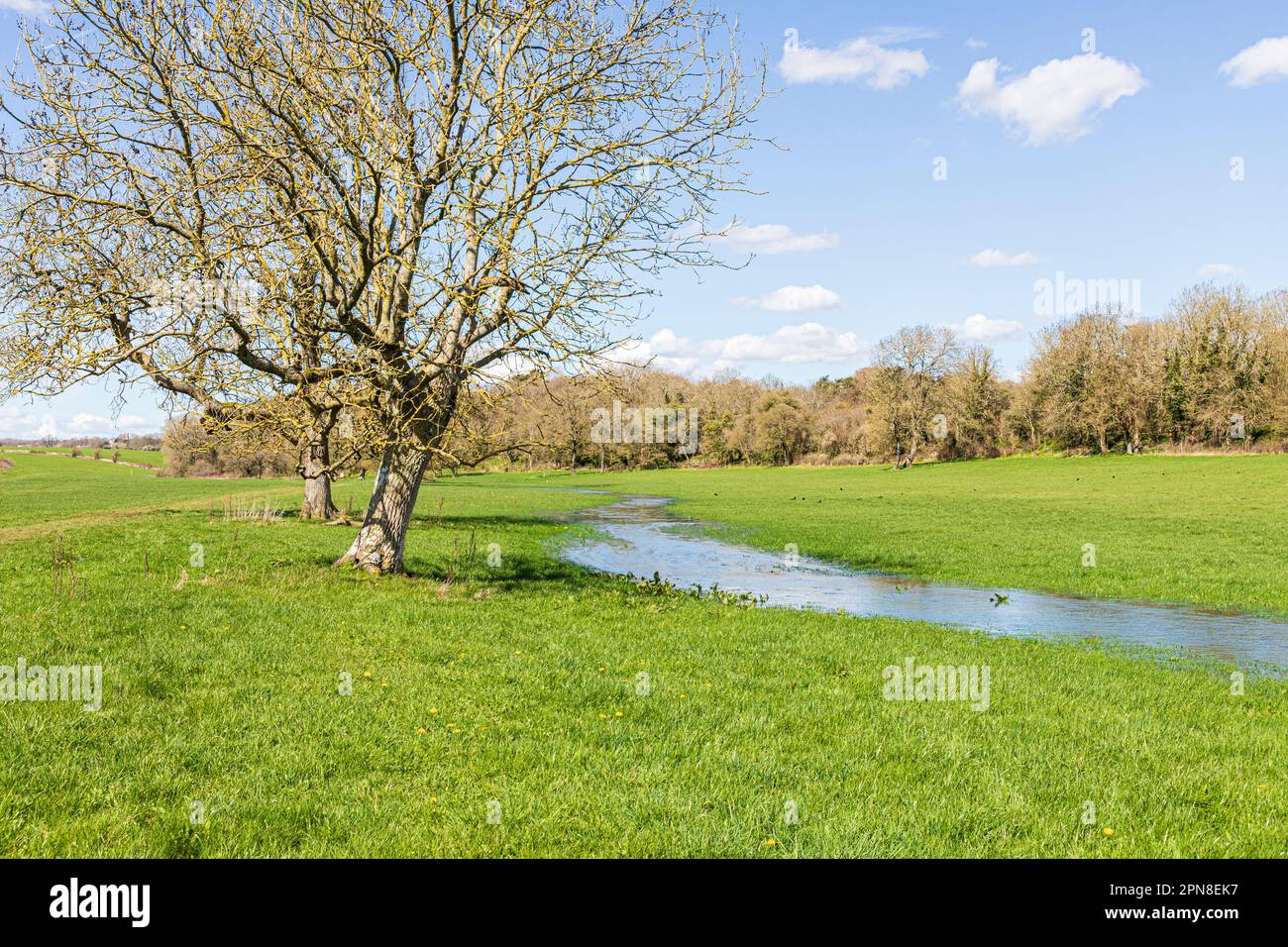 The Thames Path Langstreckenstrecke neben der Themse, 350 Meter von der ...