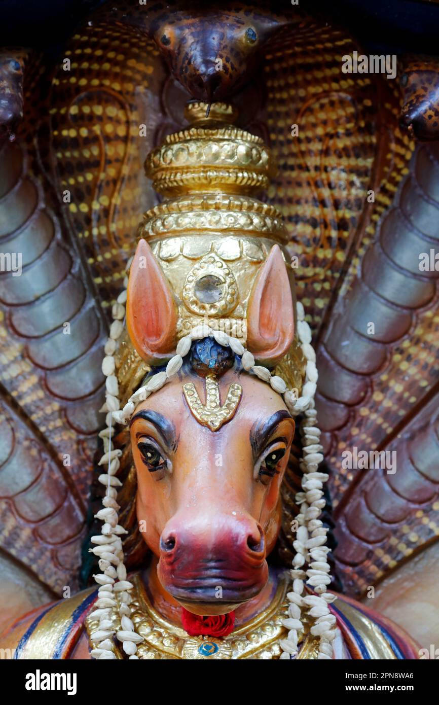 hindu-Tempel von Sri Krishnan. Hayagriva ist ein Avatar des gottes ...