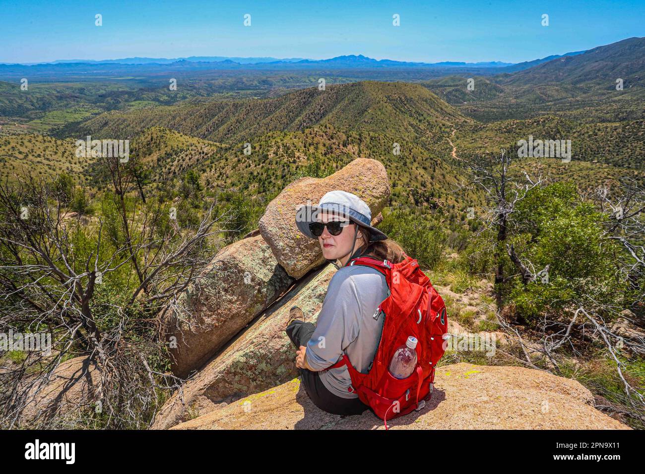 Eine Frau namens Rachael Hurst beobachtet die Waldlandschaft am ...