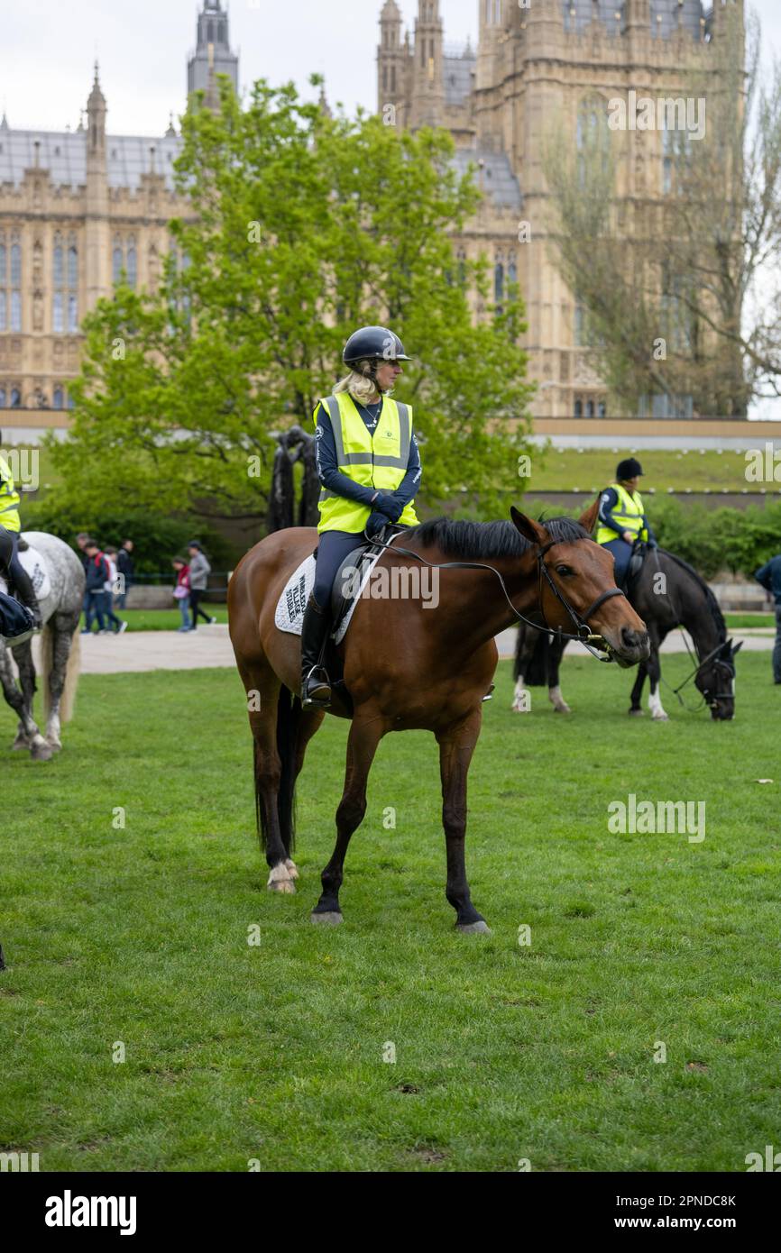 Das wohlergehen der pferde -Fotos und -Bildmaterial in hoher Auflösung ...