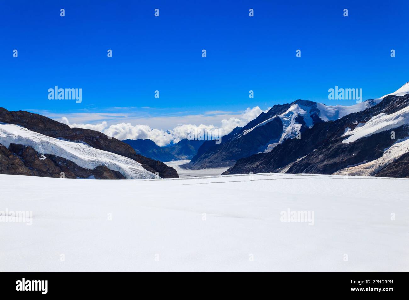 Blick auf den Großen Aletschgletscher, den größten Gletscher der Alpen ...