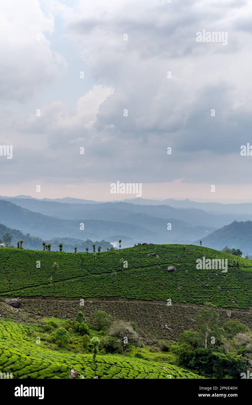 Ruhige sicht vegetation indien -Fotos und -Bildmaterial in hoher ...