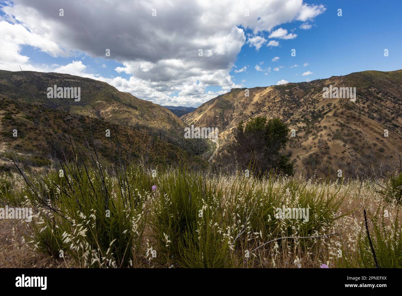 Capay valley -Fotos und -Bildmaterial in hoher Auflösung – Alamy