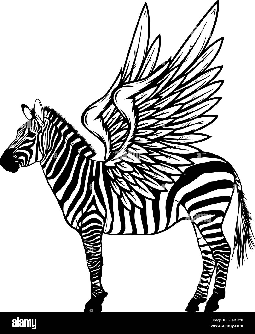 Skizze des zebras -Fotos und -Bildmaterial in hoher Auflösung – Alamy