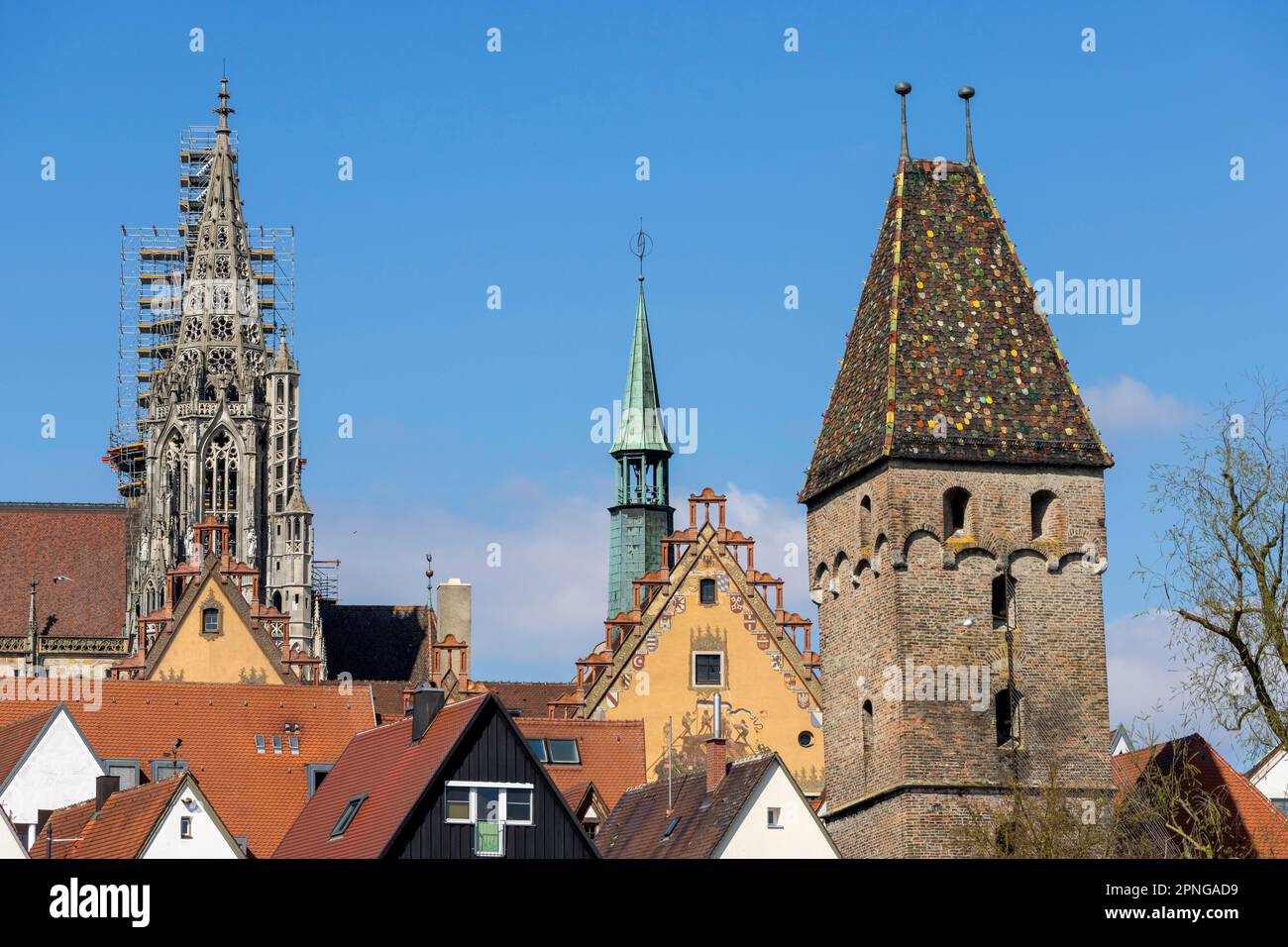 Der hintere Turm des Ulmer Doms, die Dächer, die Spitze des Rathauses ...