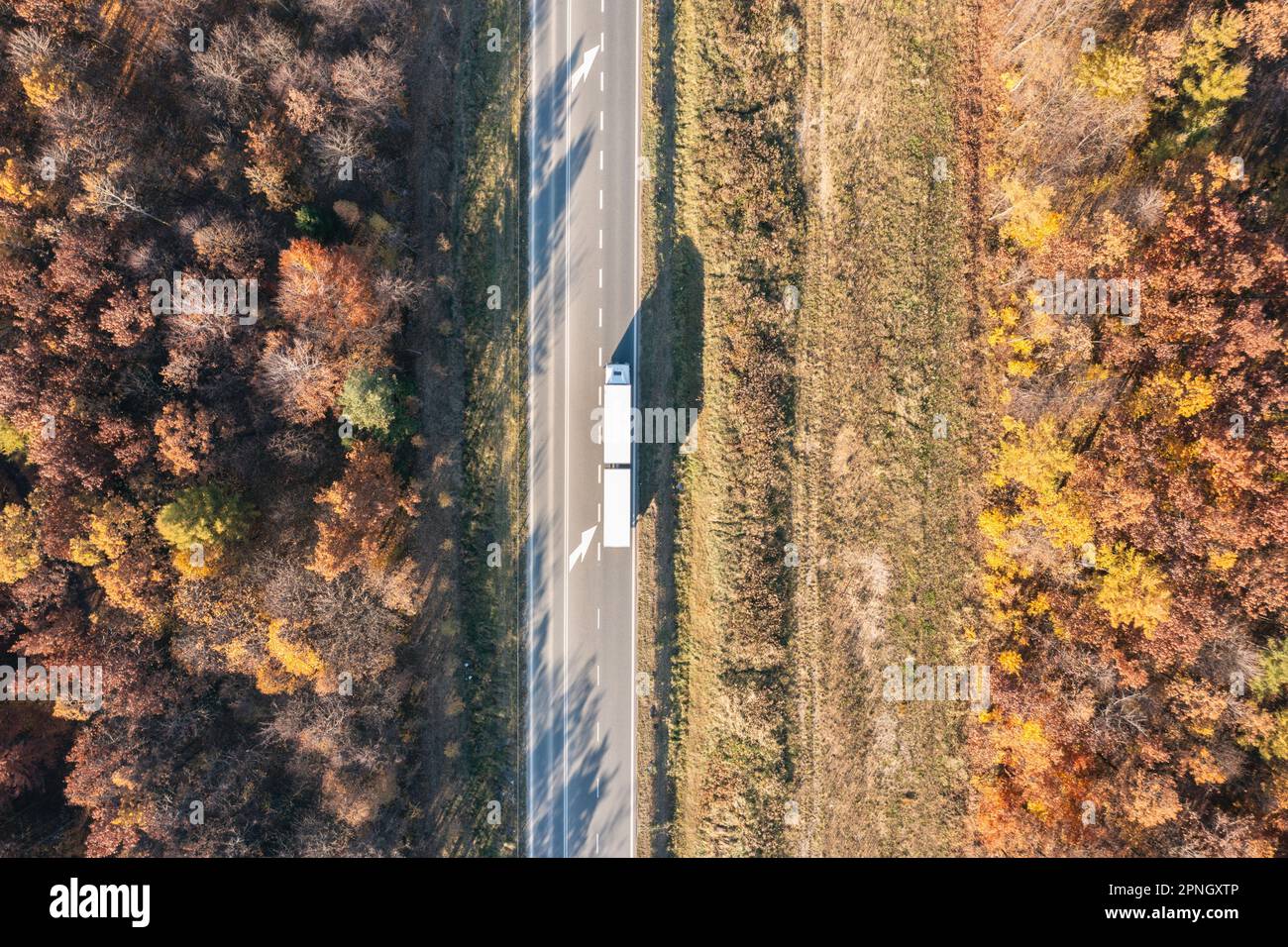 Der Lkw fährt im Herbst durch den Wald. LKW mit Auflieger in grauer ...