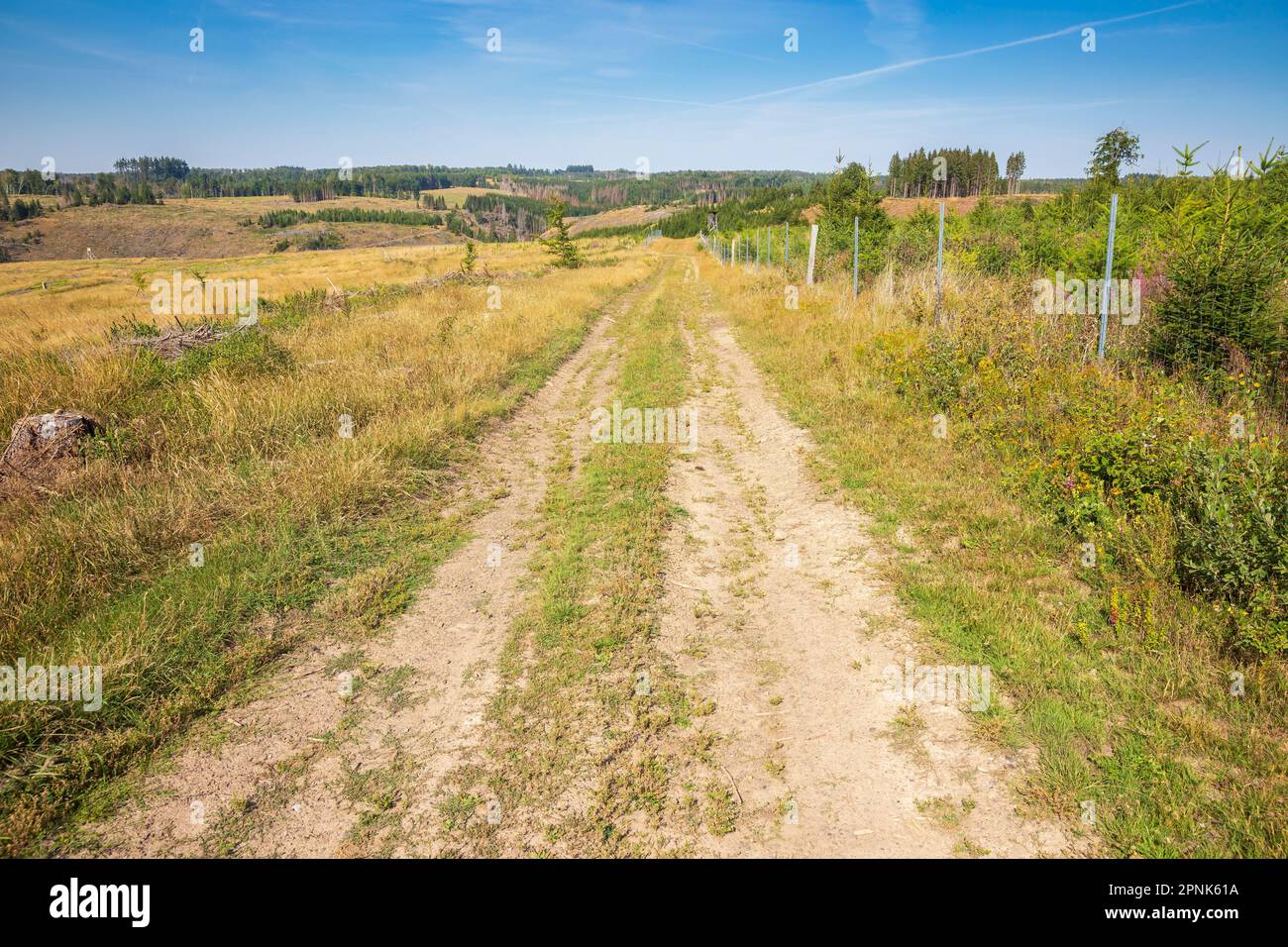 Landschaft des Nationalparks der Harz, Deutschland. Grüner Wald ...