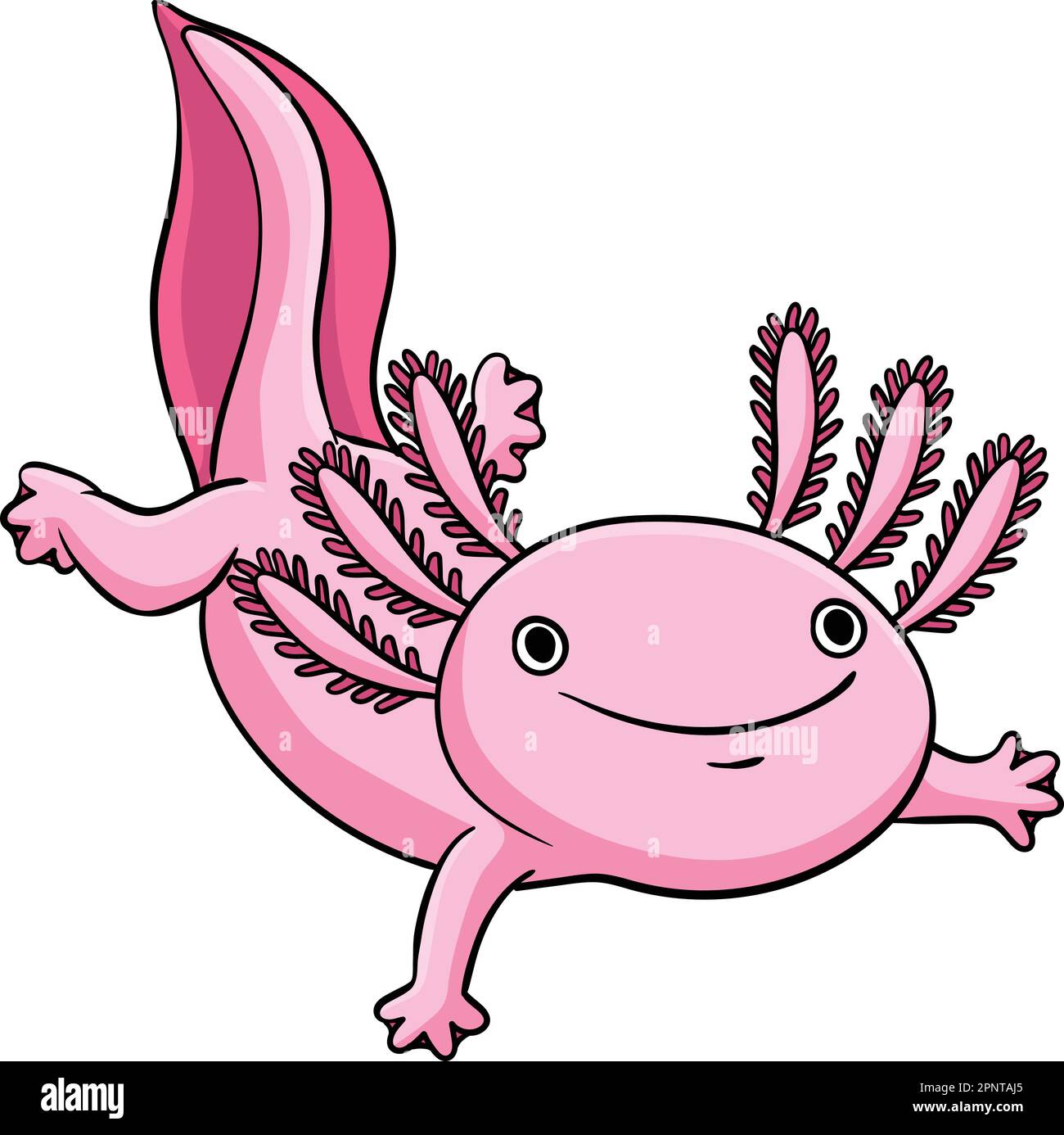 Axolotl Cartoon Coloured Clipart Illustration Stock-Vektorgrafik - Alamy