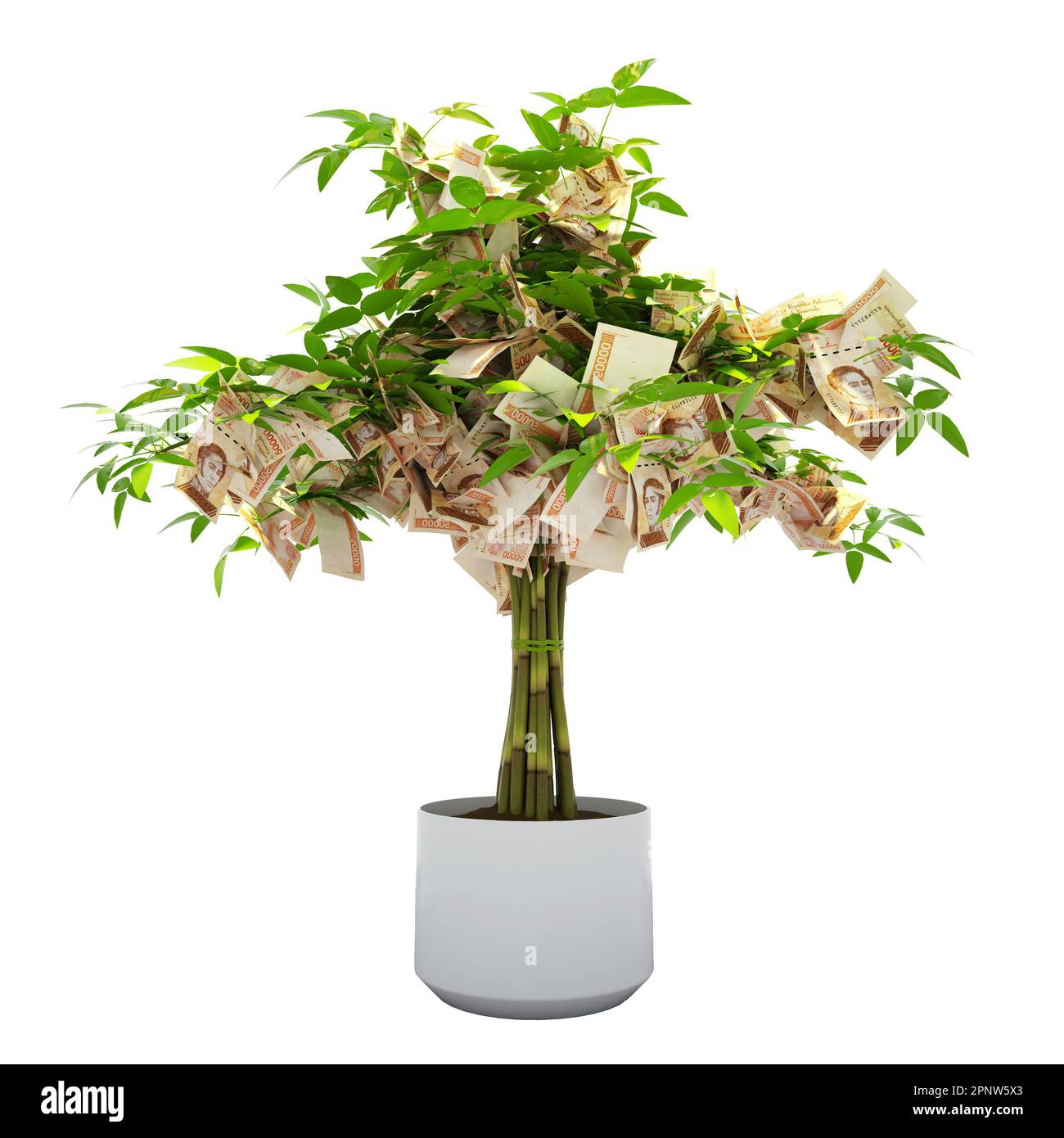 Geld auf baum -Fotos und -Bildmaterial in hoher Auflösung – Alamy