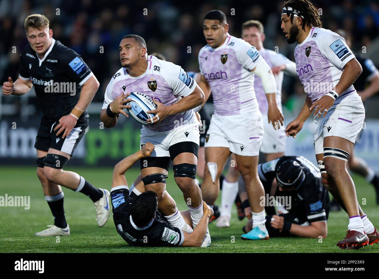 Newcastle Falcons' Matias Moroni (links) und Northampton Saints' Juarno Augustus in Aktion beim ...