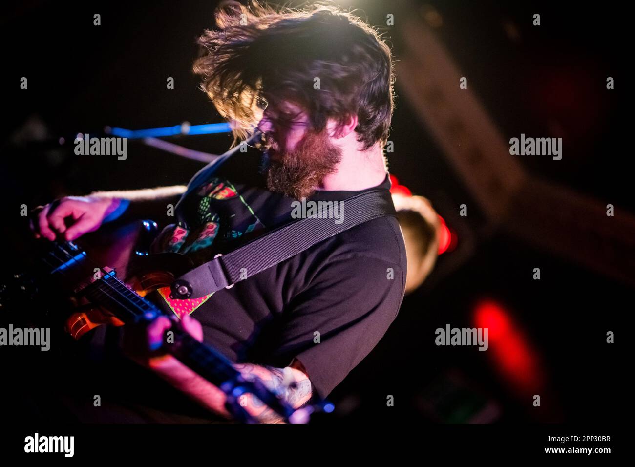 Ditz live 2023 -Fotos und -Bildmaterial in hoher Auflösung – Alamy