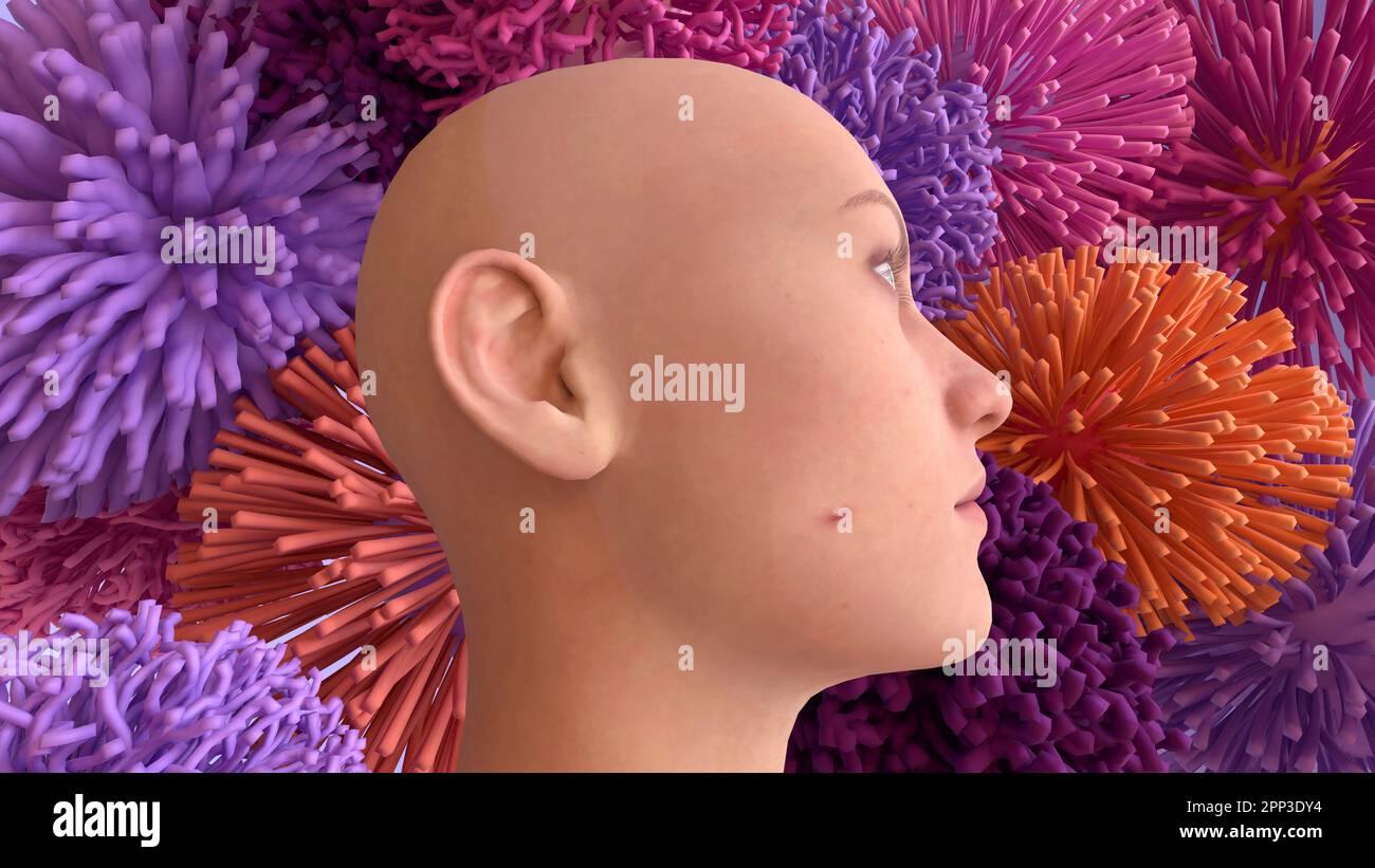 Bacterias anatomia -Fotos und -Bildmaterial in hoher Auflösung – Alamy