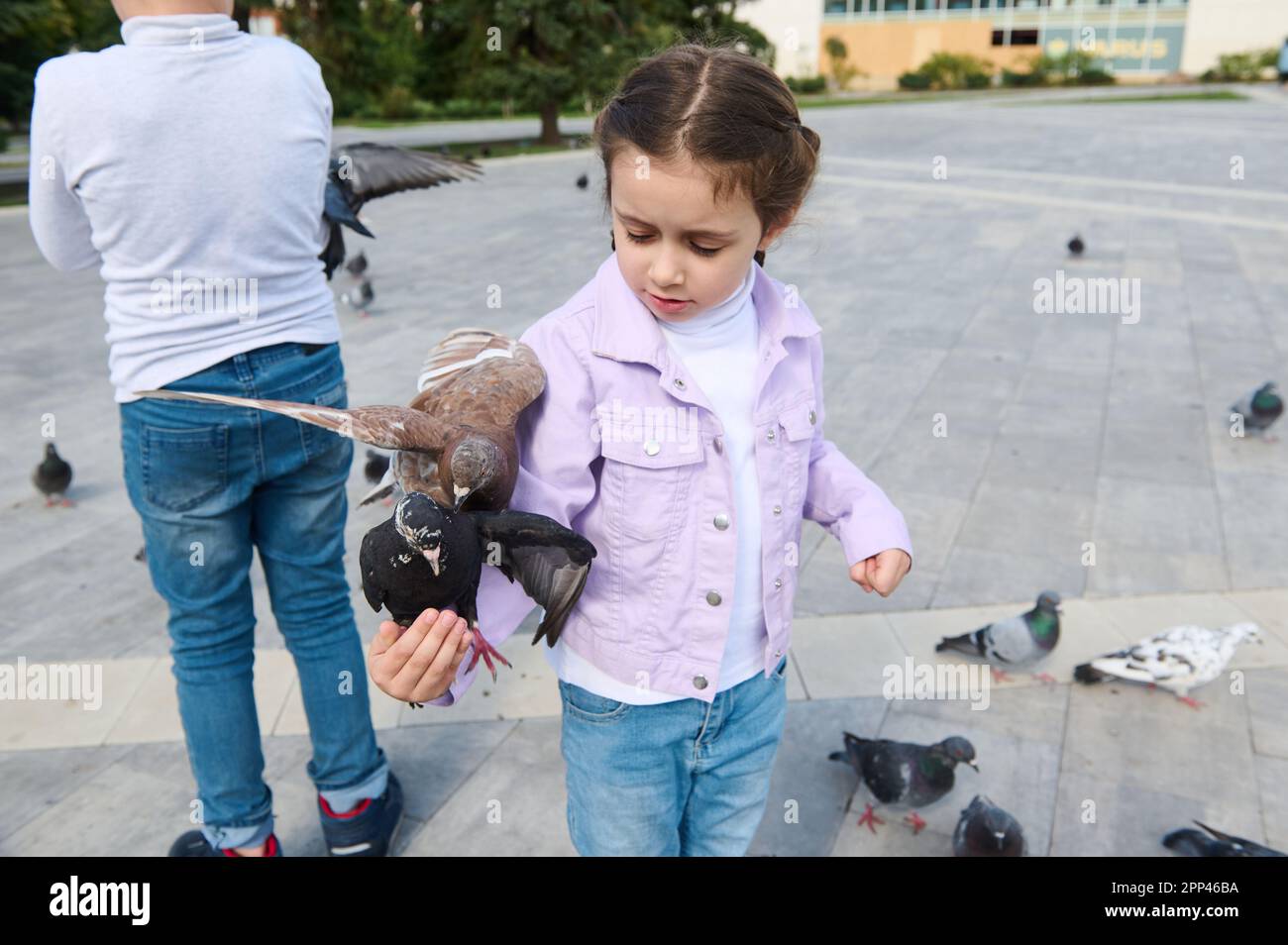 Ein kleiner junge spielt mit den tauben -Fotos und -Bildmaterial in ...