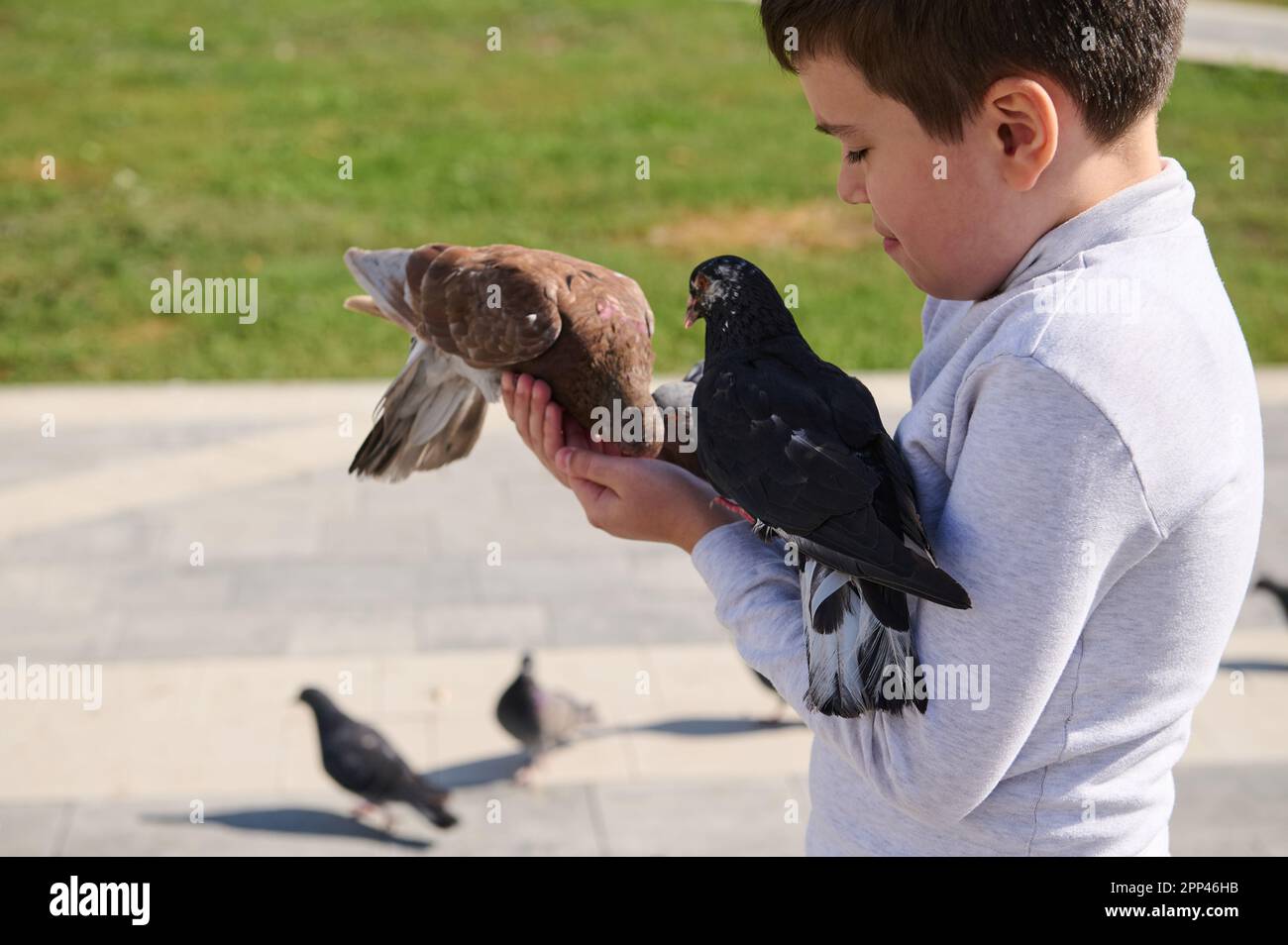 Seitenporträt eines weißen, netten, bezaubernden Jungen von 10 Jahren ...