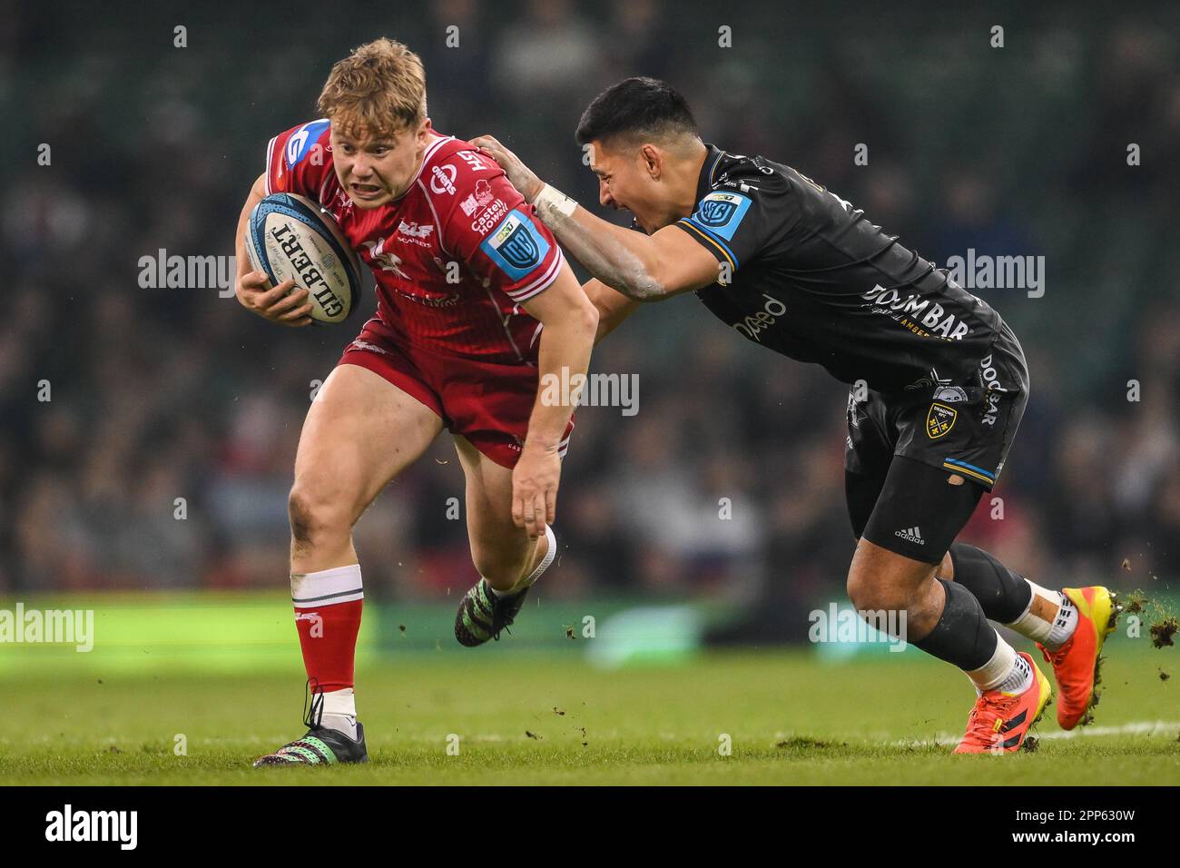 Sam Costelow von Scarlets bricht beim United Rugby Championship-Spiel ...