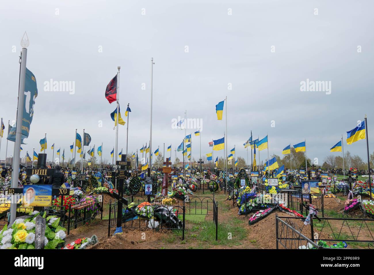 17. April 2023, Odessa, Ukraine: Blumen und ukrainische Flaggen auf den ...