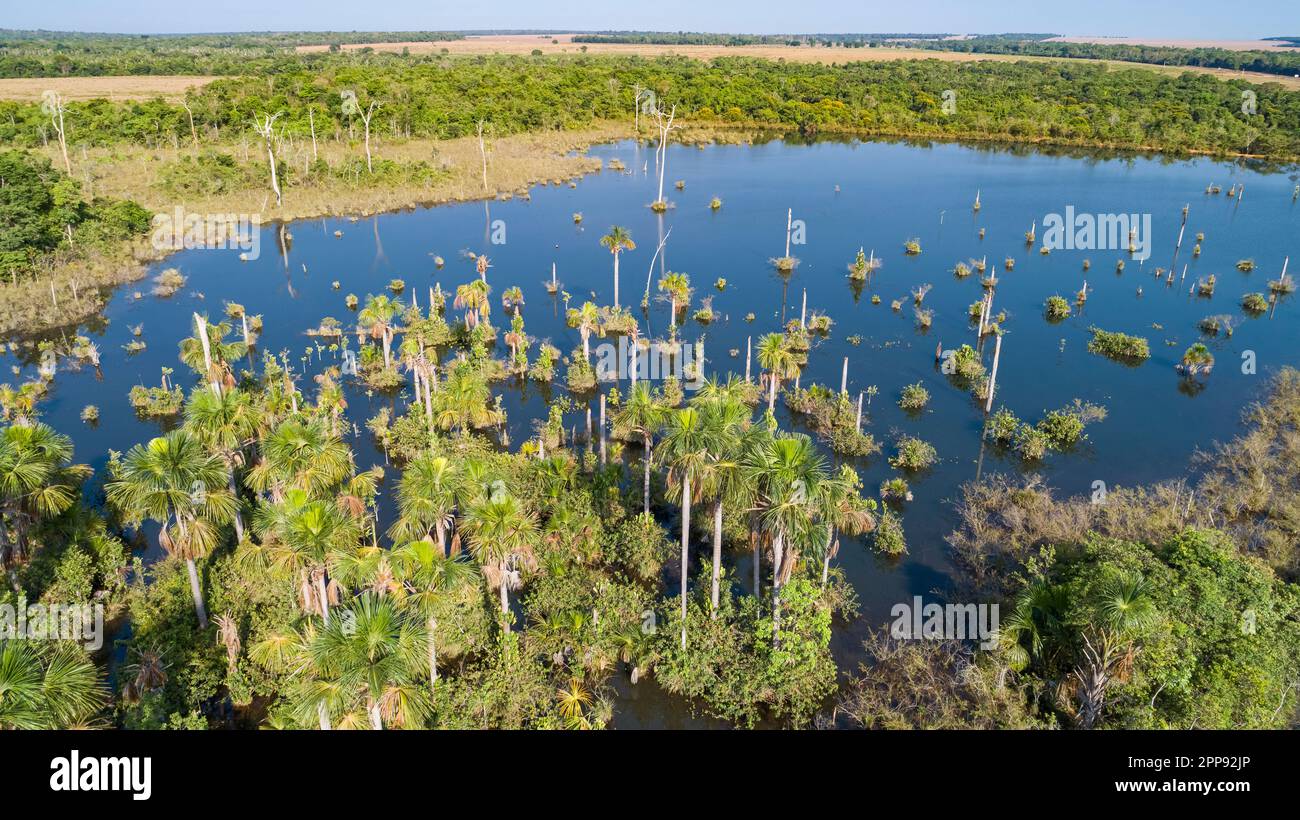 Regenwald amazonas luftbild -Fotos und -Bildmaterial in hoher Auflösung ...