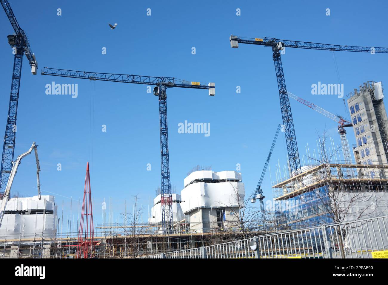 Die stillen riesen -Fotos und -Bildmaterial in hoher Auflösung – Alamy
