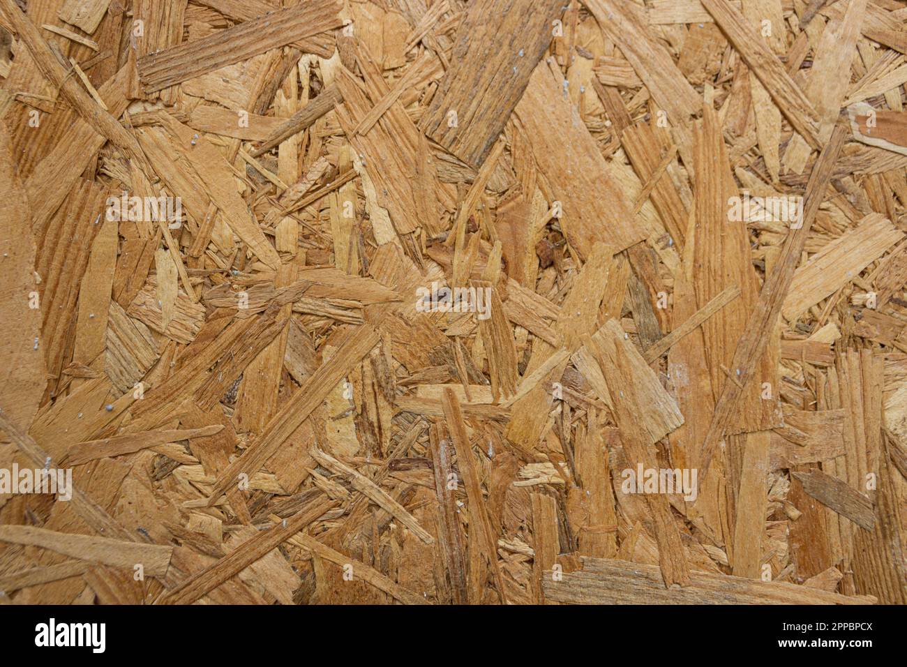 Oak wood texture -Fotos und -Bildmaterial in hoher Auflösung – Alamy