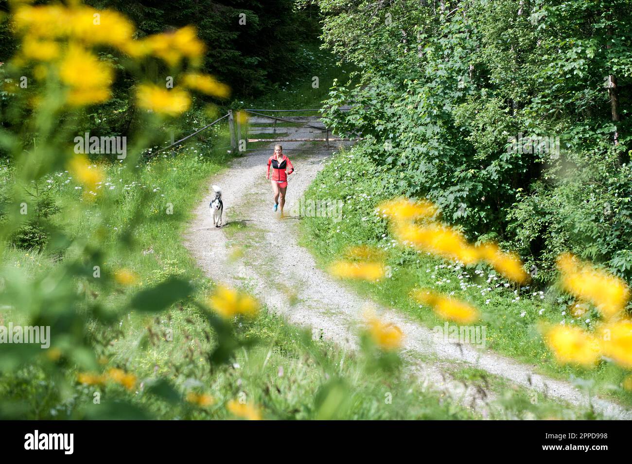 Narrow pathway -Fotos und -Bildmaterial in hoher Auflösung – Alamy