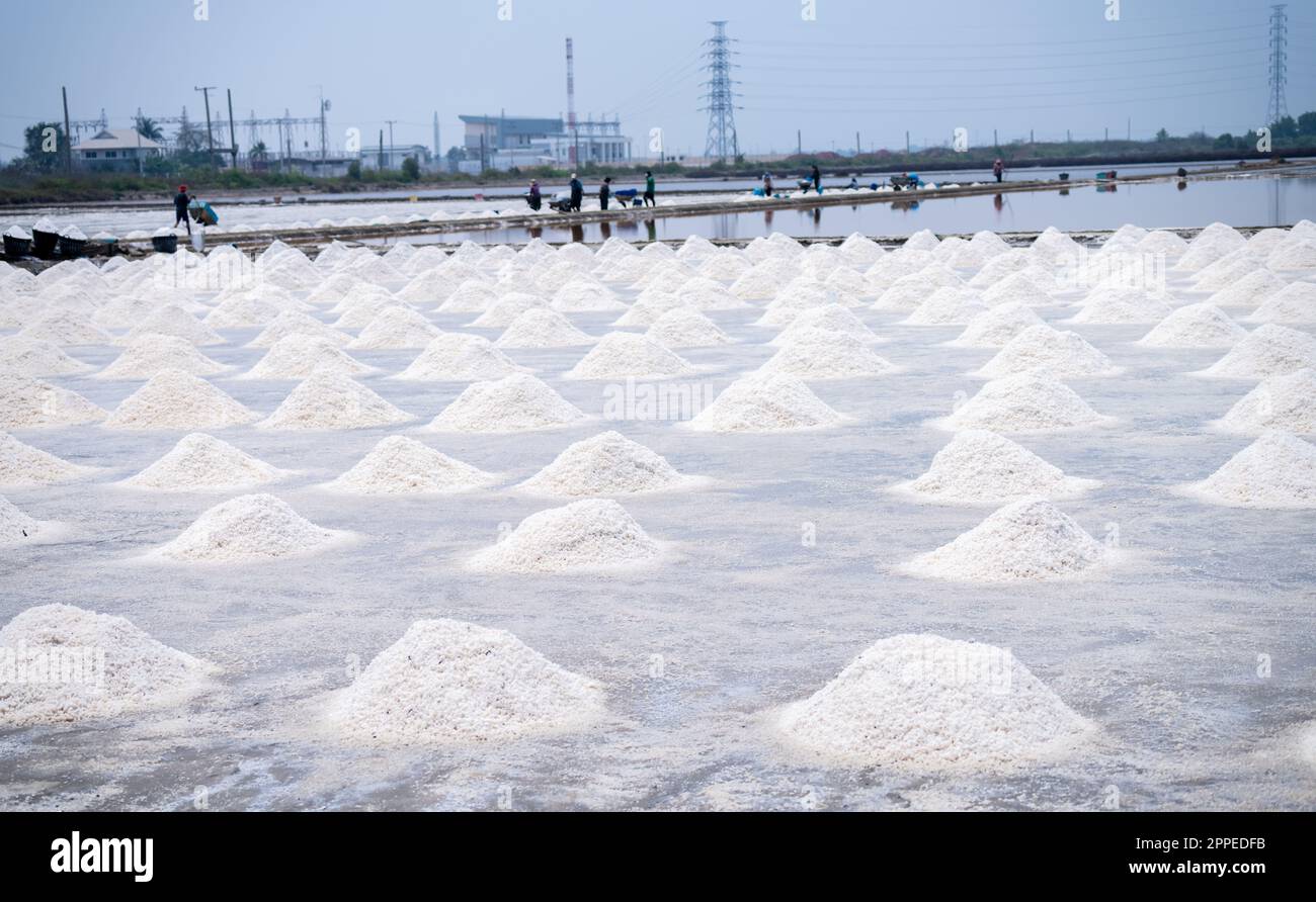 Meersalzfarm in Thailand. Salzlake. Rohstoff der Salzindustrie ...