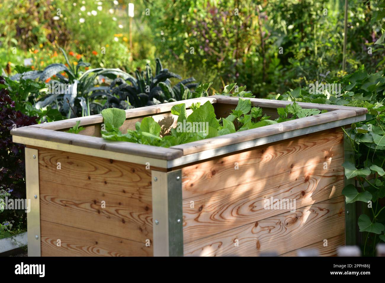 Raised bed gardening -Fotos und -Bildmaterial in hoher Auflösung – Alamy