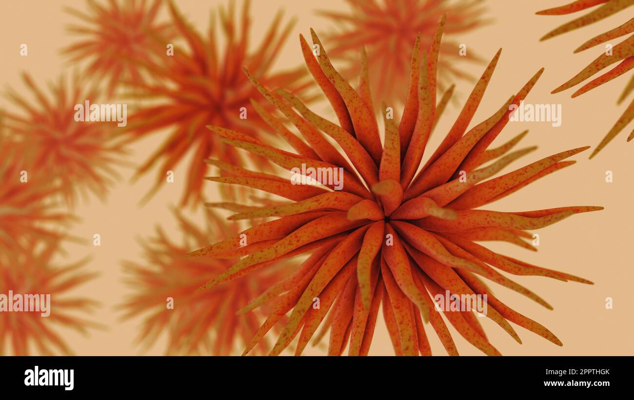 Spherical bacteria -Fotos und -Bildmaterial in hoher Auflösung – Alamy