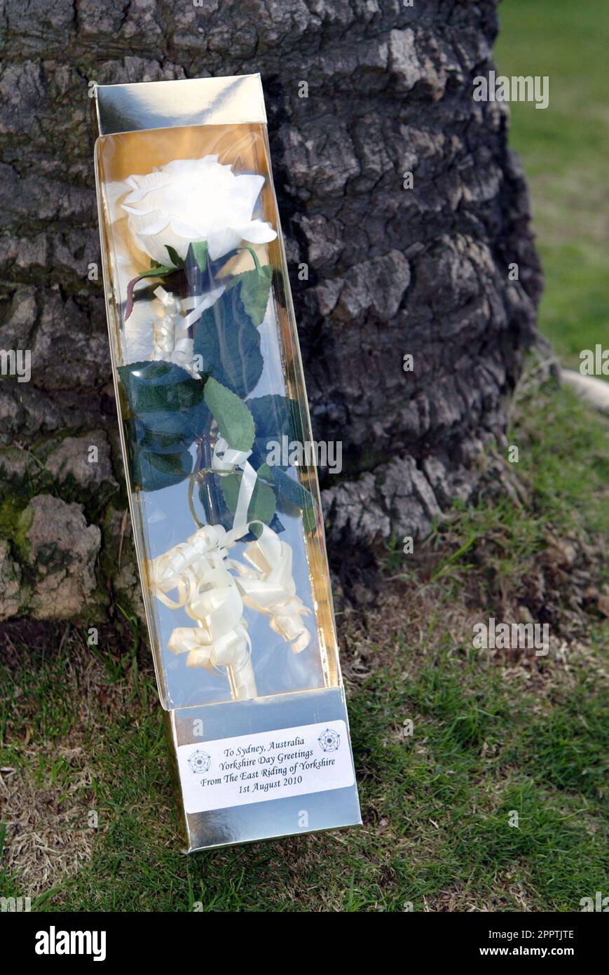 Graham keating -Fotos und -Bildmaterial in hoher Auflösung – Alamy