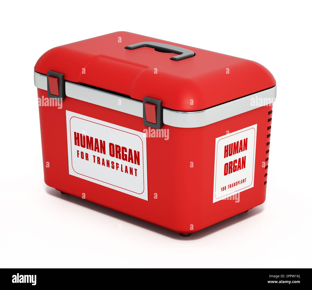 Transportbox für menschliche Organe auf weißem Hintergrund isoliert. 3D ...