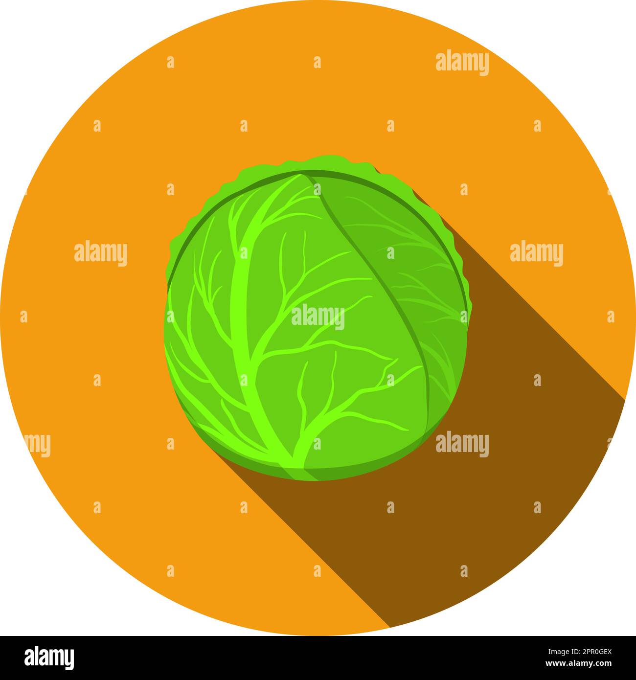 Kohl illustration Stock-Vektorgrafiken kaufen - Alamy