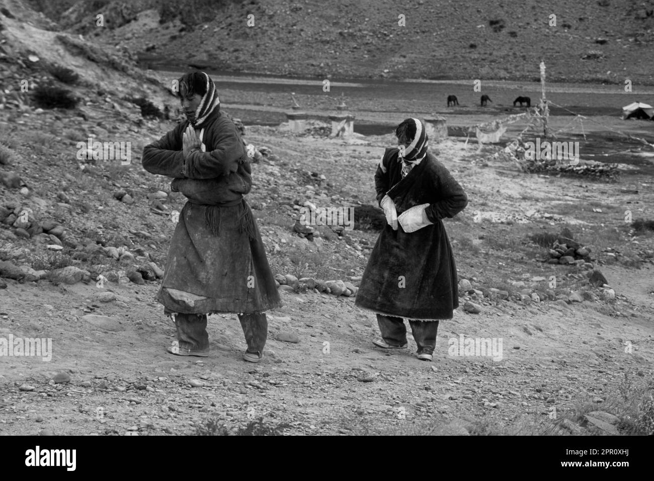 TIBETISCHE PILGER machen PROSTRATIONEN in TIRTHAPURI, einer heiligen ...