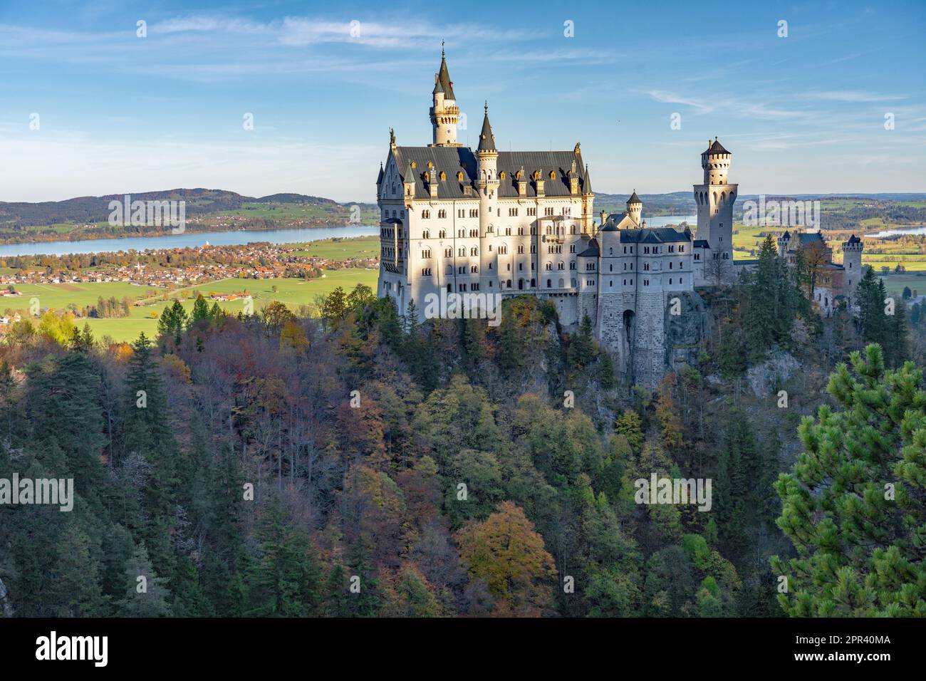 Blick auf Schloss Neuschwanstein und Forggensee vom Kamm über der ...