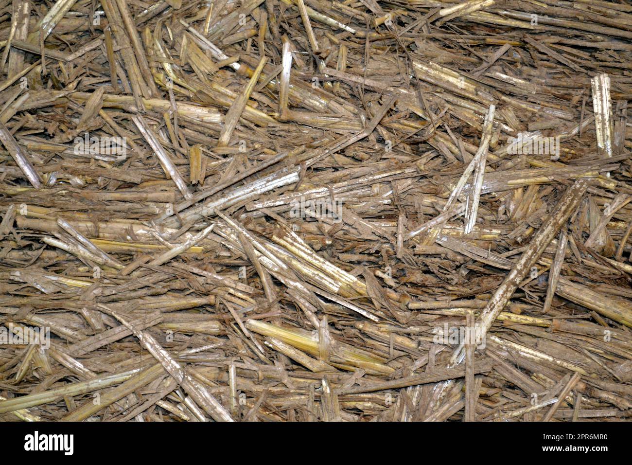 Light clay -Fotos und -Bildmaterial in hoher Auflösung – Alamy