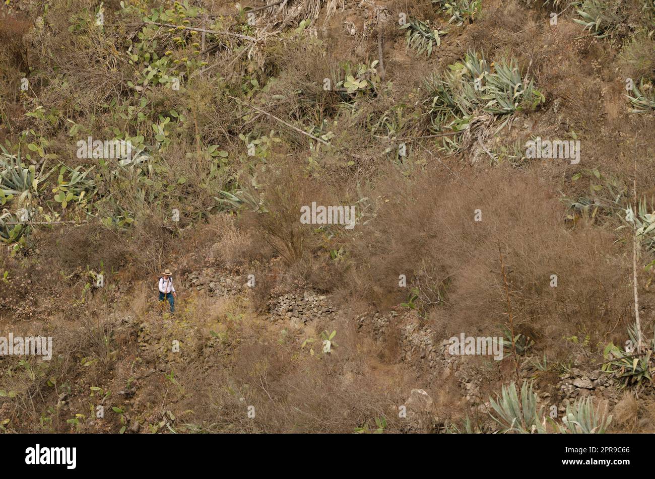 Man im busch -Fotos und -Bildmaterial in hoher Auflösung – Alamy