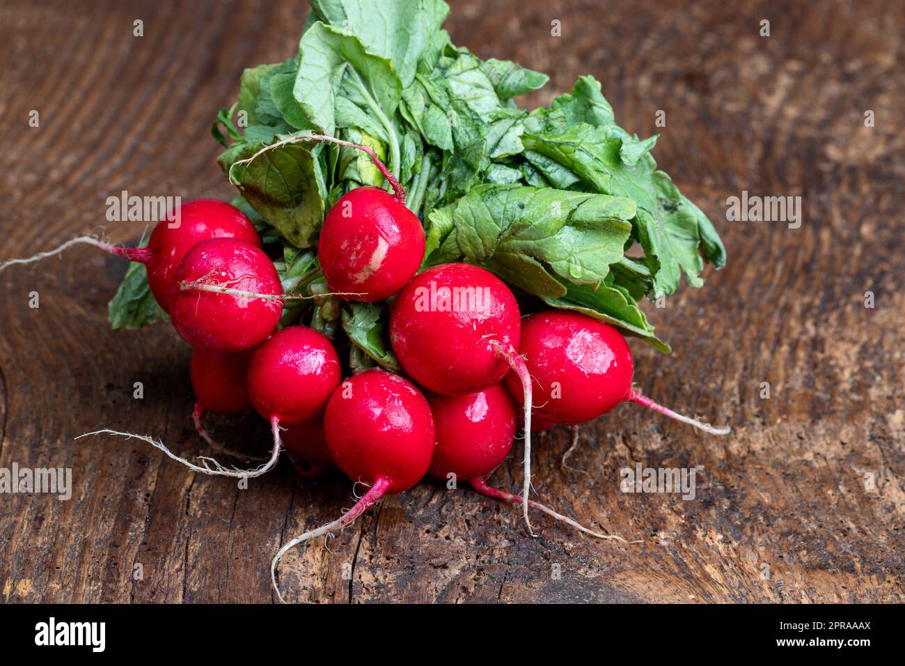 Red radish -Fotos und -Bildmaterial in hoher Auflösung – Alamy