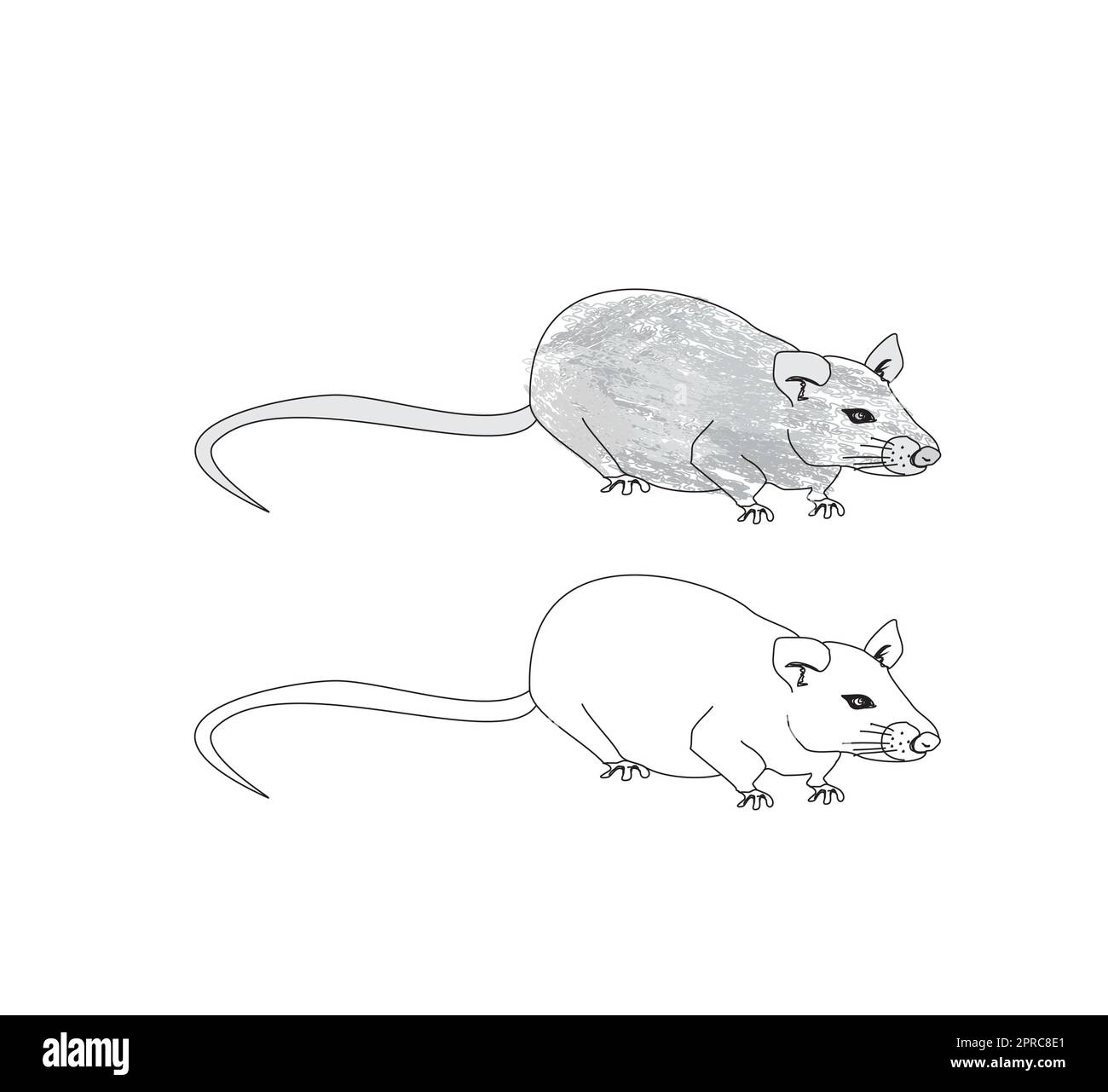 Cartoon ratte -Fotos und -Bildmaterial in hoher Auflösung – Alamy