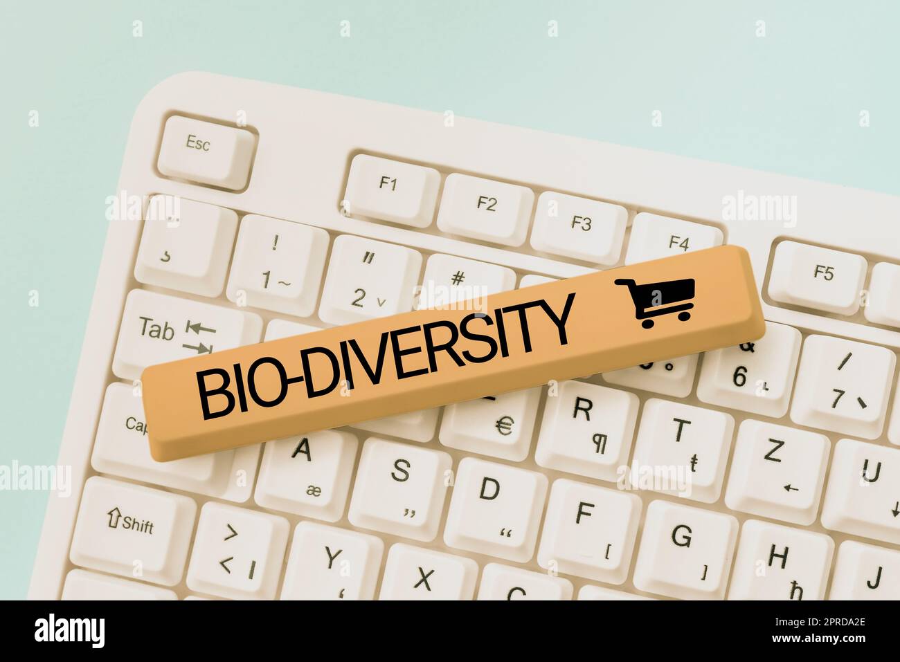 Santuario de flora y fauna -Fotos und -Bildmaterial in hoher Auflösung – Alamy