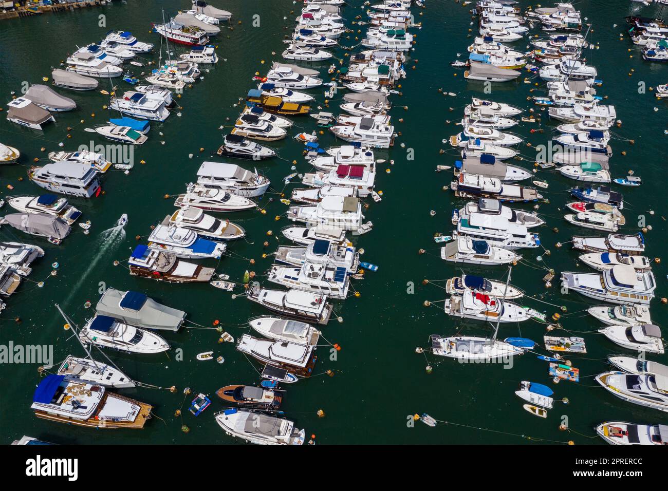 Taifun club -Fotos und -Bildmaterial in hoher Auflösung – Alamy