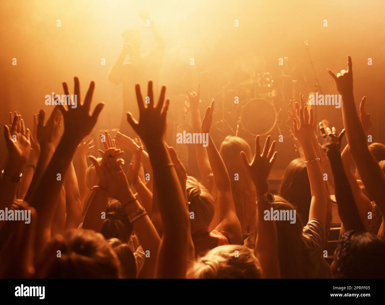 Die hard fans -Fotos und -Bildmaterial in hoher Auflösung – Alamy