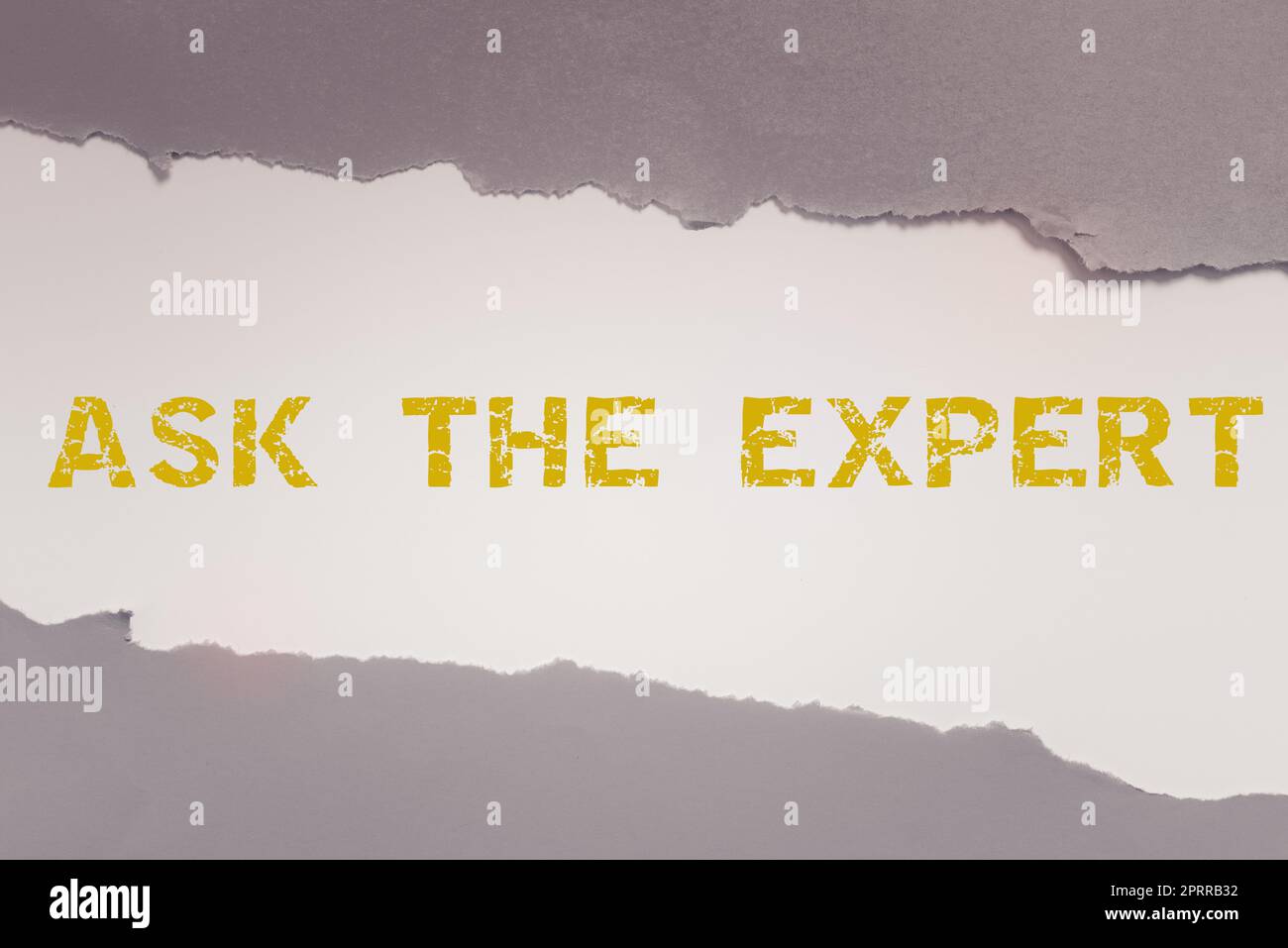 Das Schild zeigt Frag den Experten, Internet-Konzept zu viel reden ...