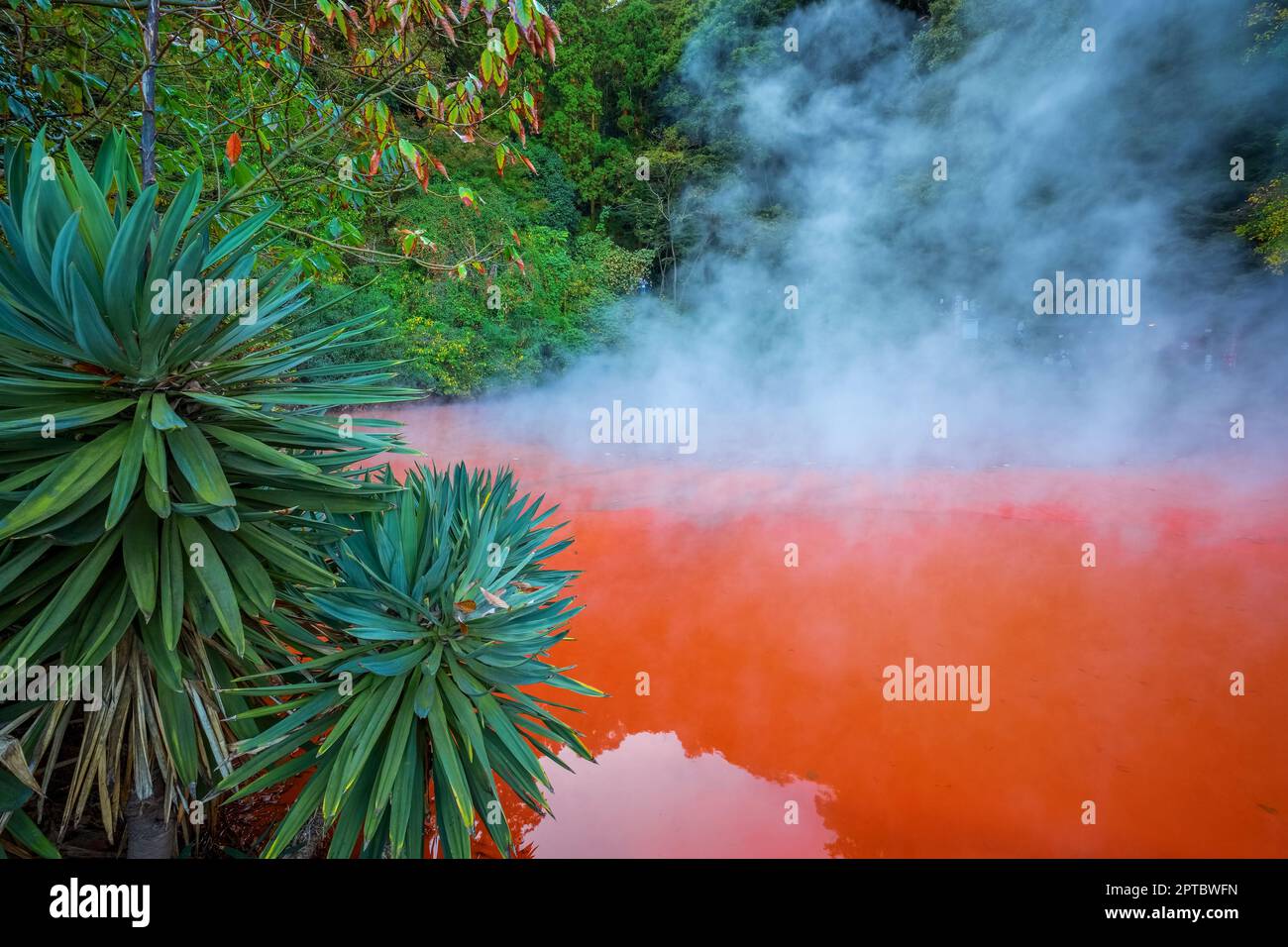Beppu, Japan - Nov. 25 2022: Chinoike Jigoku Thermalquelle in Beppu ...