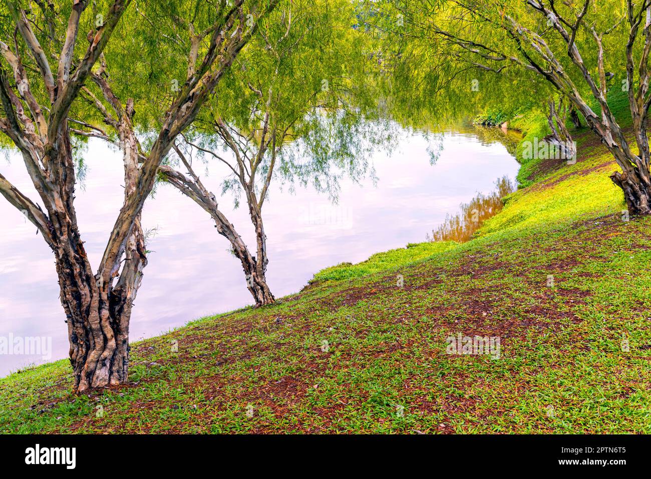 Der Adda Heights Town Park ist ein Gemeindepark in Johor Bahru, der ...