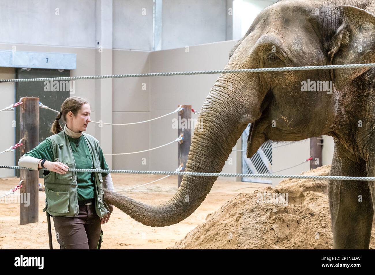 Cottbus, Deutschland. 28. April 2023. Cottbus Zoo Hüterin Heike Jandke ...