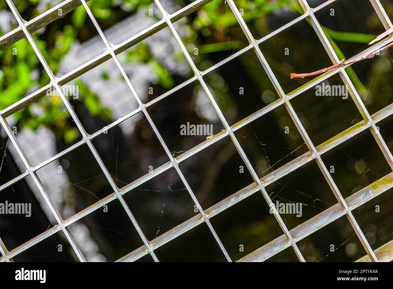 Das Gitter in Pipinsburg im Geestland Cuxhaven Niedersachsen mit Wasser ...