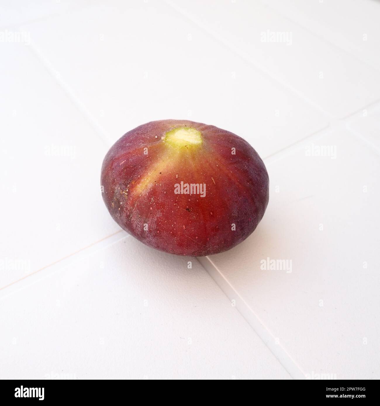 Feigen- oder Feigenbaum oder Feigenbaum oder Ficus carica ist eine ...